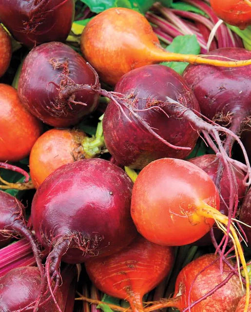Beet Blend Beets